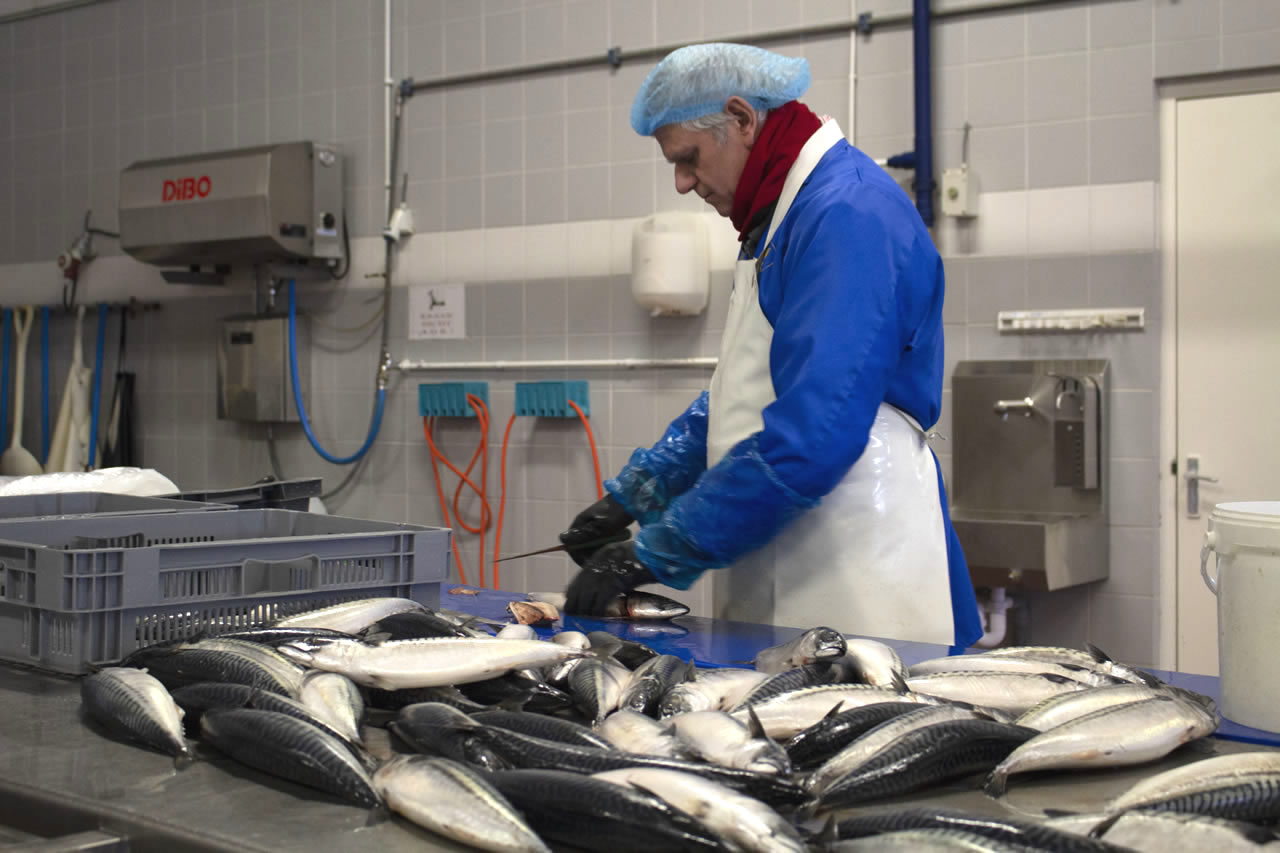 Hokkai Suisan | Japanese Foodie Guide to the Netherlands